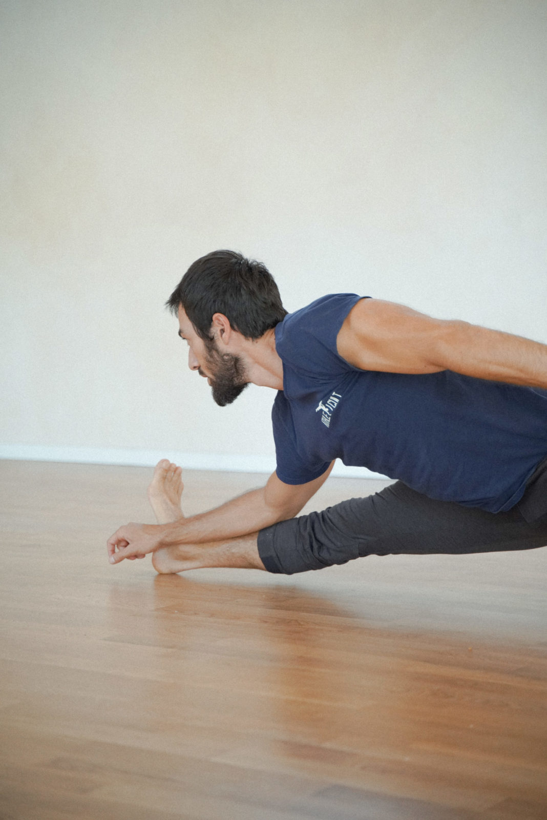 Active Flexibility - Micro-Movement