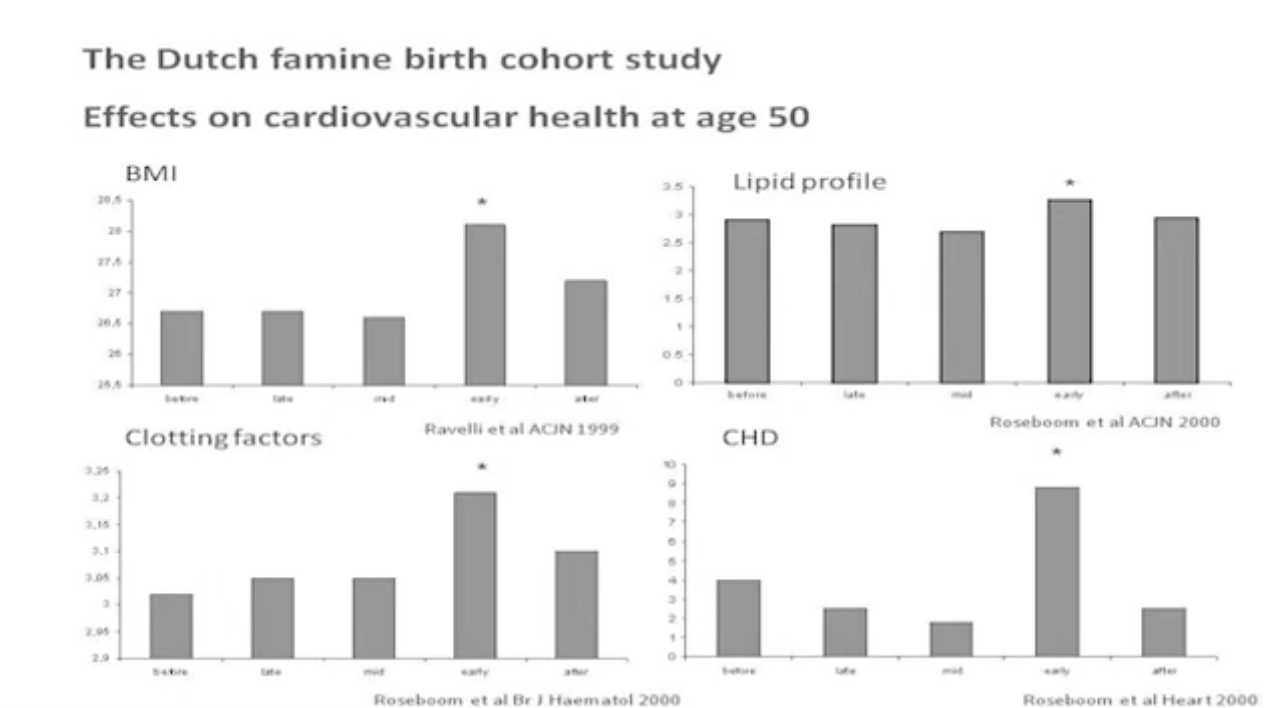 What does the Dutch winter famine teach us about genetics? - Micro-Movement
