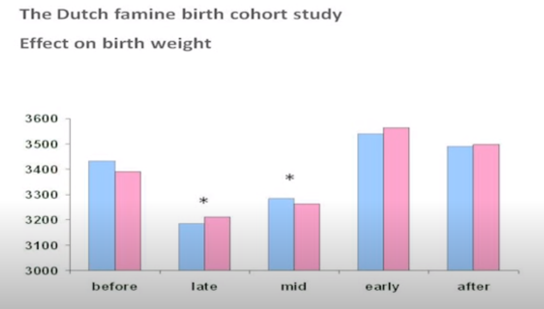 What does the Dutch winter famine teach us about genetics? - Micro-Movement