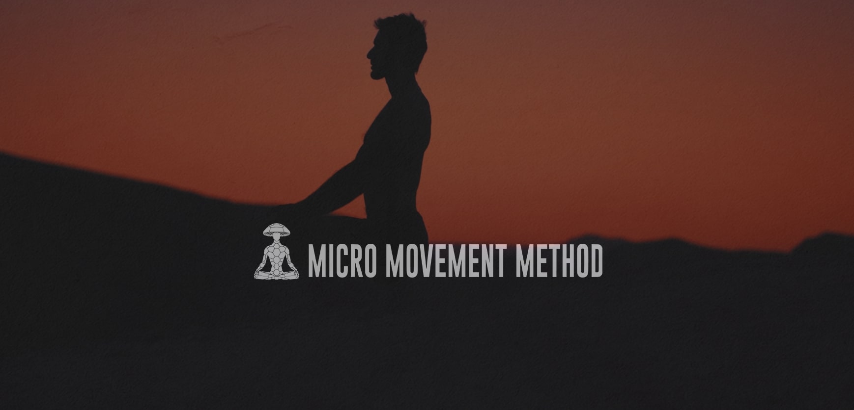About - Micro-Movement